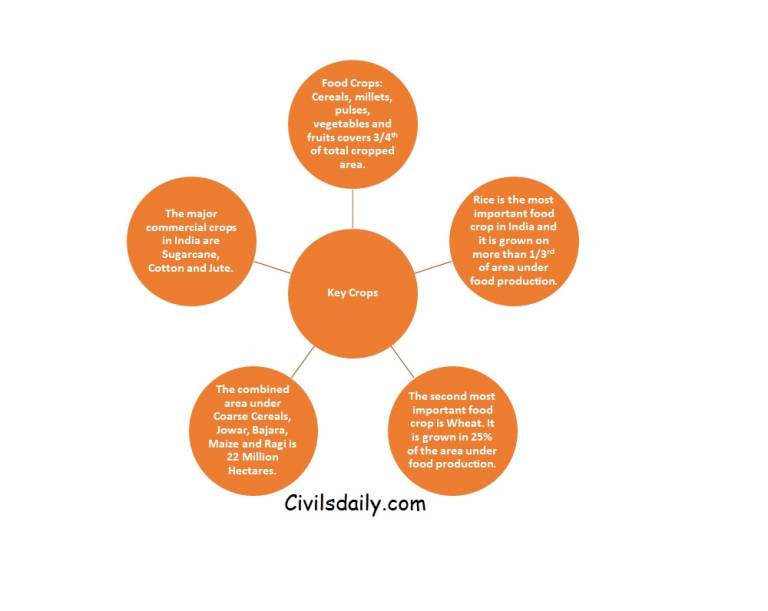 Cropping Patterns in India: Factors Affecting; Most Important Cropping ...