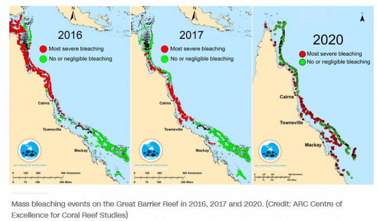 Third mass bleaching of Great Barrier Reef - Civilsdaily