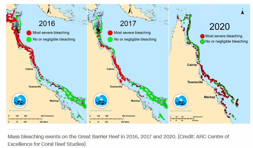 Third mass bleaching of Great Barrier Reef - Civilsdaily