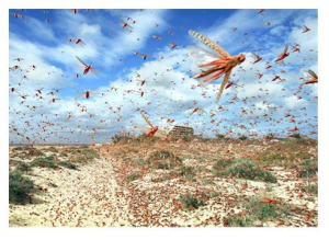 Disasters and Disaster Management - Sendai Framework, Floods, Cyclones ...