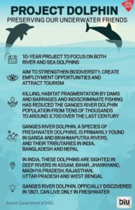 What is Project Dolphin? - Civilsdaily