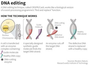 [Burning Issue] CRISPR Technology and Associated Concerns - Civilsdaily