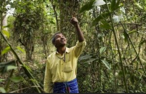 Jadav Payeng: The Forest Man of India - Civilsdaily