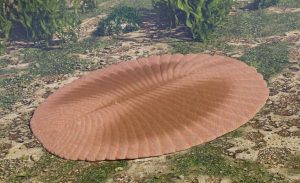 Dickinsonia fossil discovered in Bhimbetka - Civilsdaily