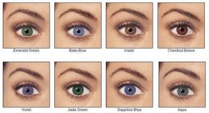 Genetics of Eye Color - Civilsdaily