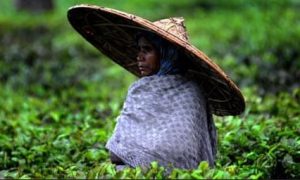 Jaapi, Xorai and Gamosa in Assam - Civilsdaily