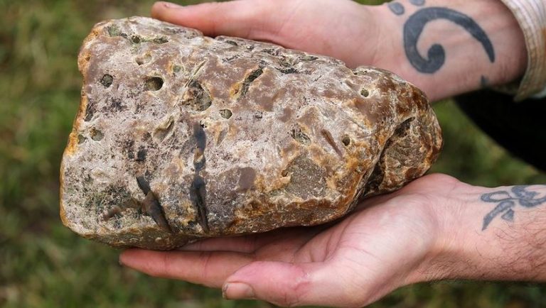 What is Ambergris? - Civilsdaily