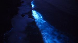 What is Milky Sea Phenomenon? - Civilsdaily