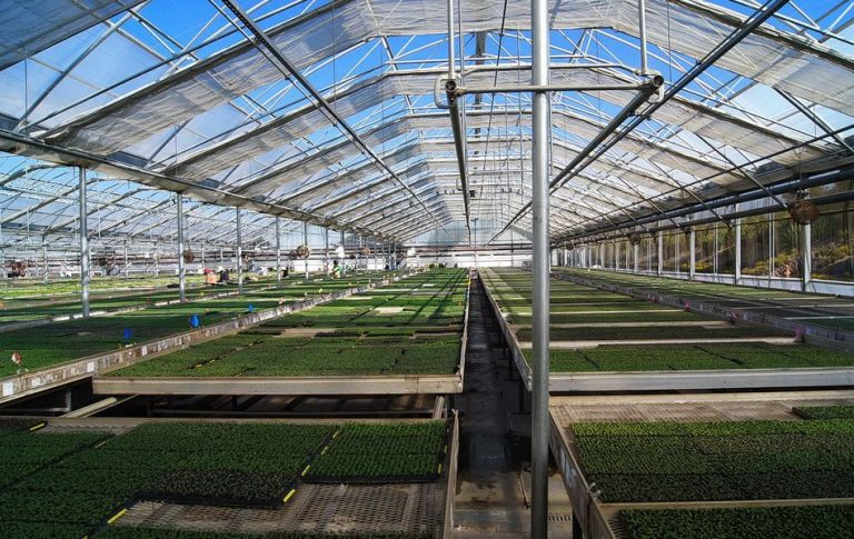 What is Retractable Roof Polyhouse? - Civilsdaily