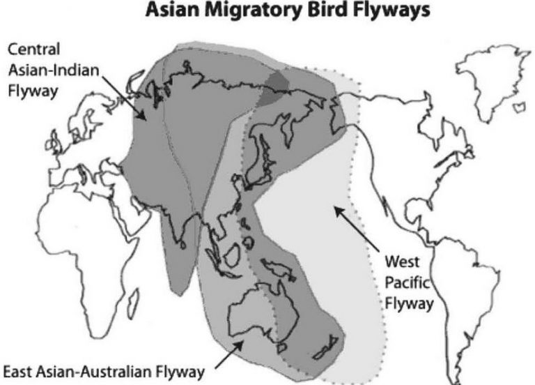 [pib] Central Asian Flyway - Civilsdaily