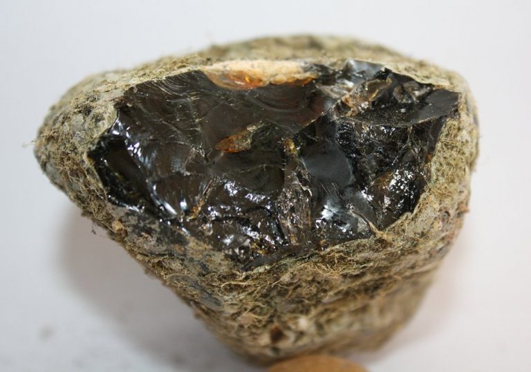What is Ambergris? - Civilsdaily