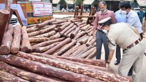 CITES database reveals Red Sanders smuggling - Civilsdaily
