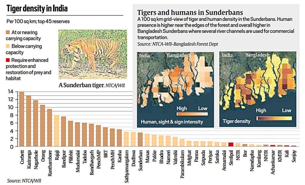 Tiger Conservation Efforts – Project Tiger, etc. - Civilsdaily
