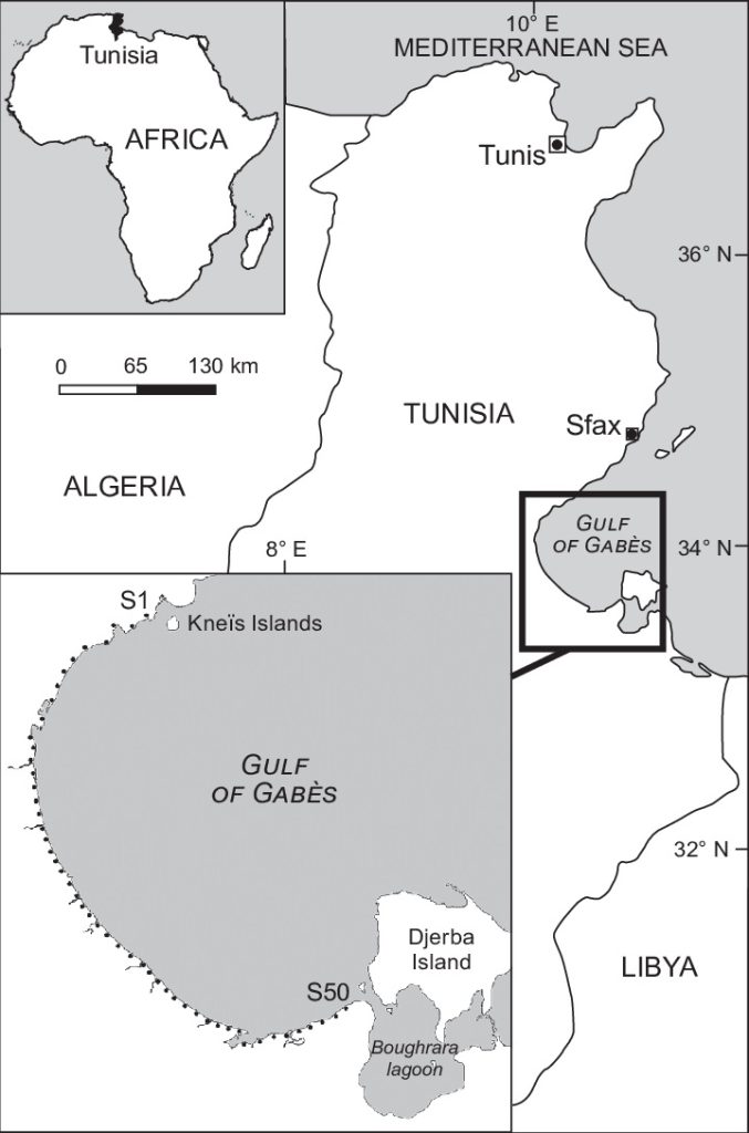 Places in news: Gulf of Gabes - Civilsdaily