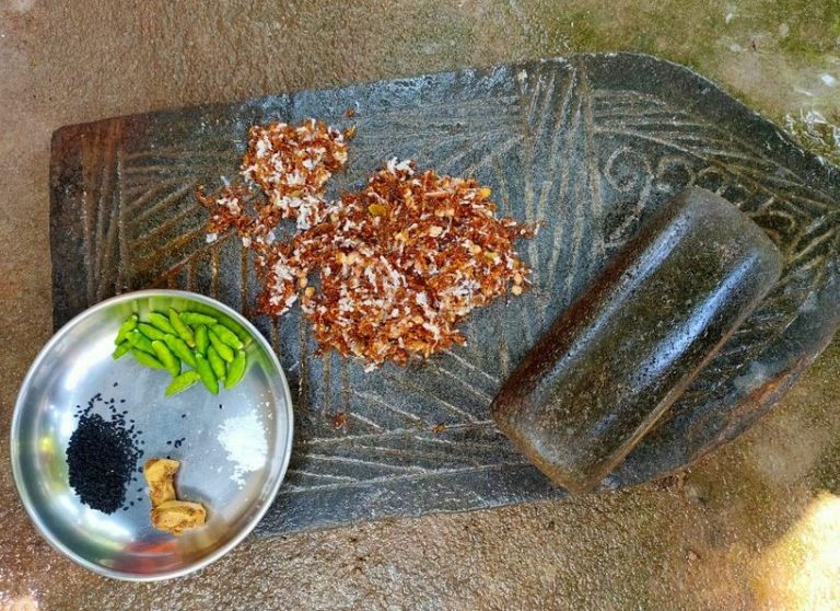 Mayurbhanj’s superfood ‘Ant Chutney’ - Civilsdaily