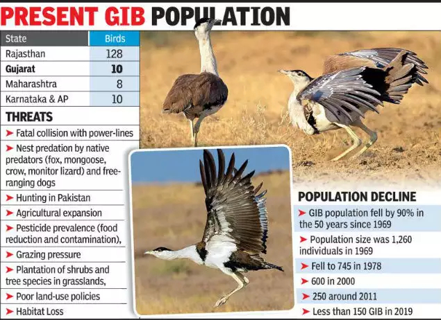 Species in news: Great Indian Bustard - Civilsdaily