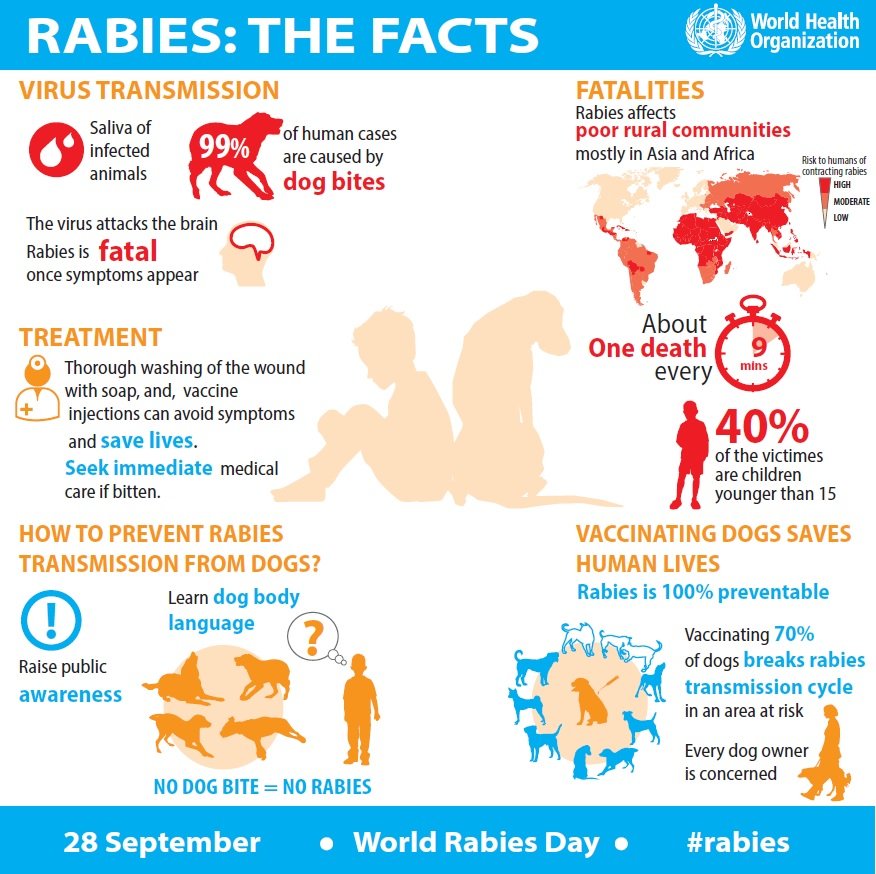 Rising number of Rabies case - Civilsdaily