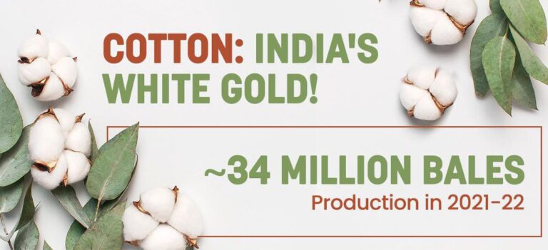 Boosting India’s Cotton Production - Civilsdaily
