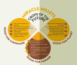 Millets the future of Sustainable Agriculture - Civilsdaily