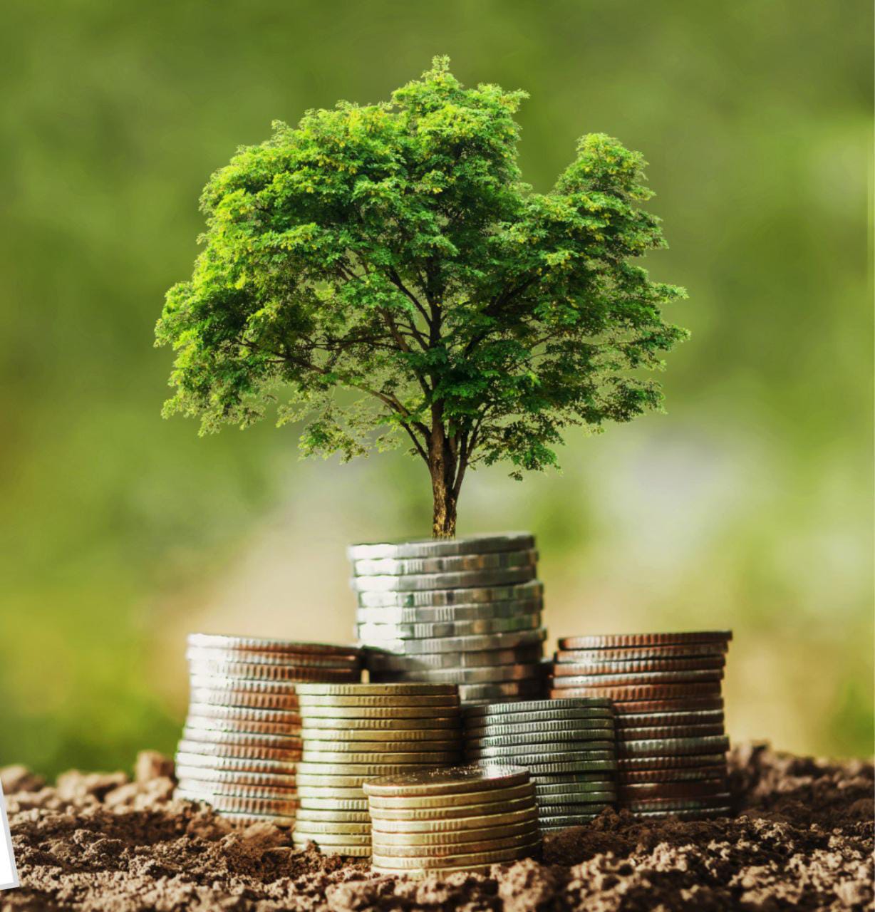 Road to Net Zero Goes Via Green Financing - Civilsdaily