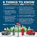 Promise and perils of Flex Fuel Vehicles - Civilsdaily