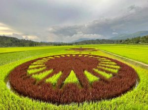 Arts in news: Tambo Art - Civilsdaily