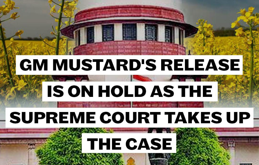 India’s GM crop revolution and the controversy over GM mustard - Civilsdaily