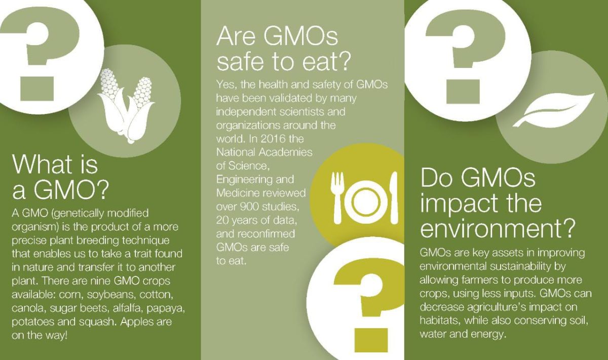 India’s GM crop revolution and the controversy over GM mustard ...