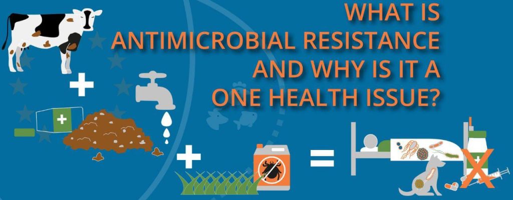 Antimicrobial resistance (AMR): The silent health catastrophe - Civilsdaily