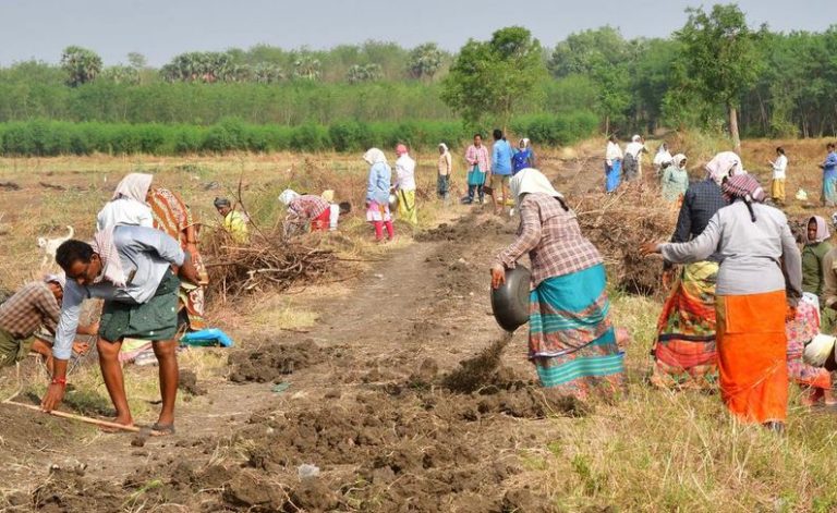 Employment days under MGNREGS at a 5-year low - Civilsdaily