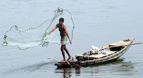 Purse Seine Fishing Gear: A Questionable Fishing Method - Civilsdaily