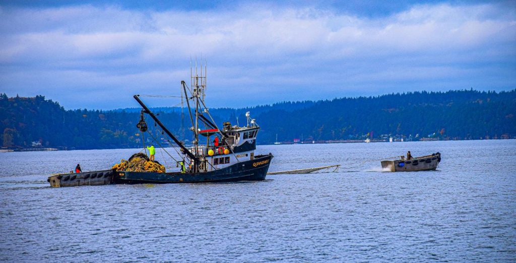 Purse Seine Fishing Gear: A Questionable Fishing Method - Civilsdaily