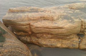 ASI finds 1,300-yr-old Buddhist Stupa in Odisha