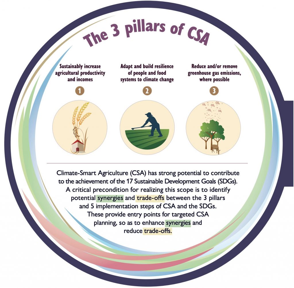 Digitalizing Climate-Smart Agriculture: Framework for G20 Countries - Civilsdaily