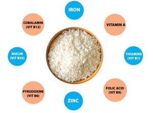 Debate over Fortified Rice - Civilsdaily