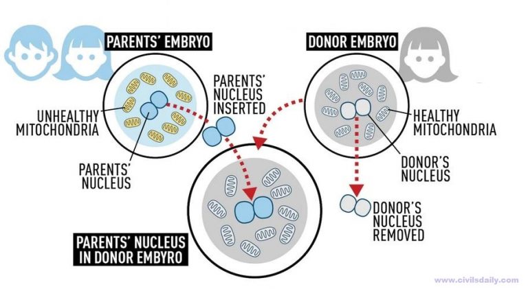 UK sees success in Mitochondrial Replacement Therapy