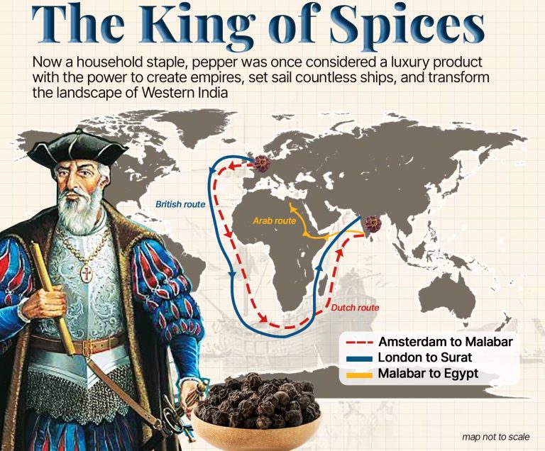 History of Pepper Trade from India - Civilsdaily