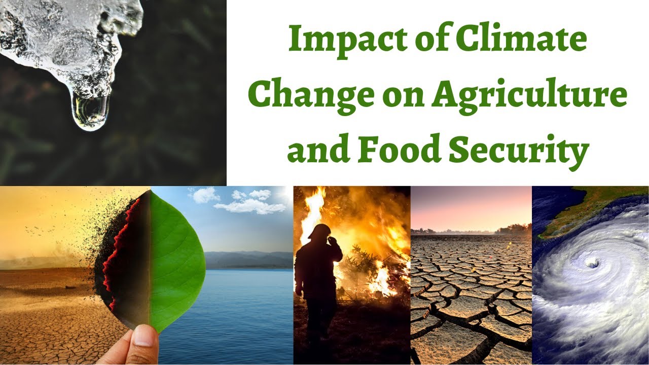 Climate phenomena and food security - Civilsdaily