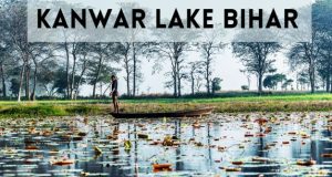 Kanwar Lake: Bihar’s only Ramsar Site drying up - Civilsdaily