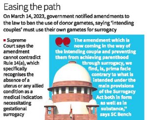 Supreme Court upholds Woman’s Right to Parenthood in Surrogacy Case ...