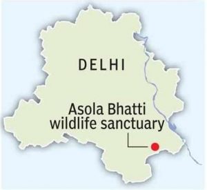 Asola Bhatti Wildlife Sanctuary - Civilsdaily