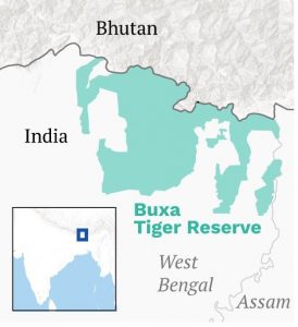 Tiger Sightings in Buxa National Park - Civilsdaily
