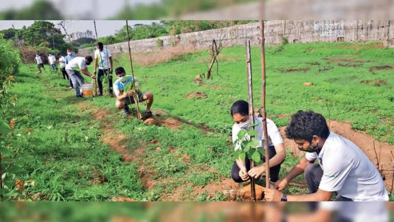 Rethinking Tree Plantation Strategies in India: A Call for Policy ...