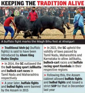 Moh-Juj: Traditional Animal Fights in Assam - Civilsdaily