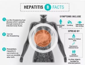 Hepatitis B: Everything you need to know - Civilsdaily