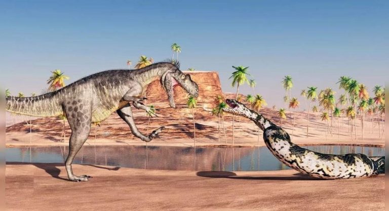 Vasuki Indicus: 50ft Snake Fossil Found in Gujarat - Civilsdaily