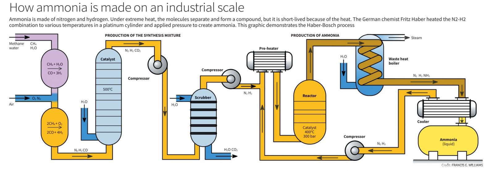 How did the Haber-Bosch process change the world? - Civilsdaily
