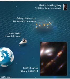 Firefly Sparkle Galaxy - Civilsdaily