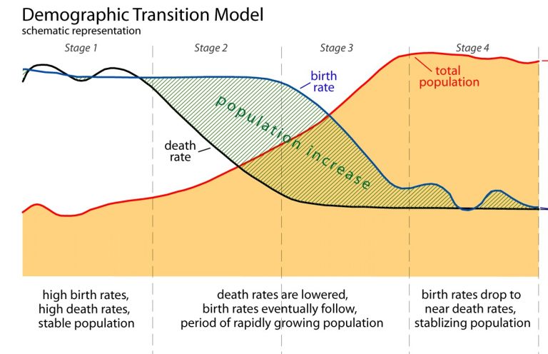 McKinsey released Report on Demographic Transition and Depopulation ...