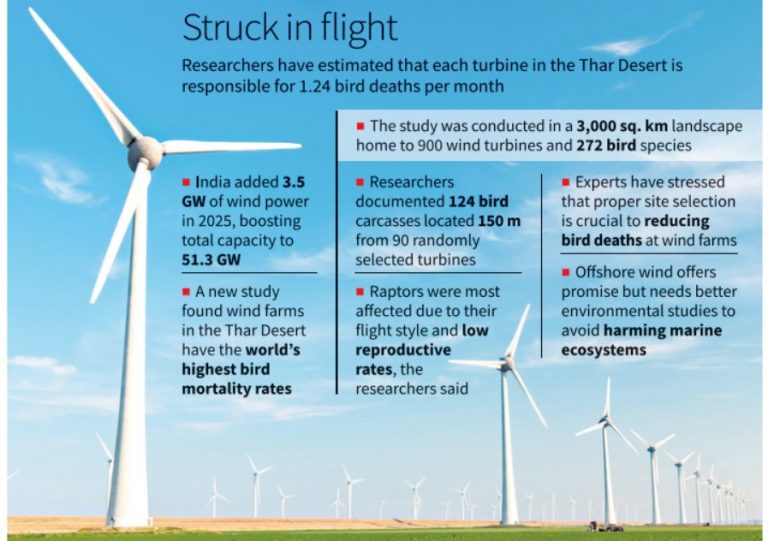 Bird Deaths in Thar Desert - Civilsdaily
